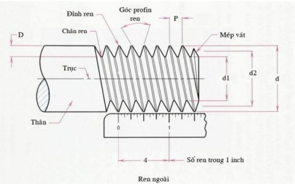 Ren Là Gì? Các Loại Ren Trên Thị Trường Hiện Nay